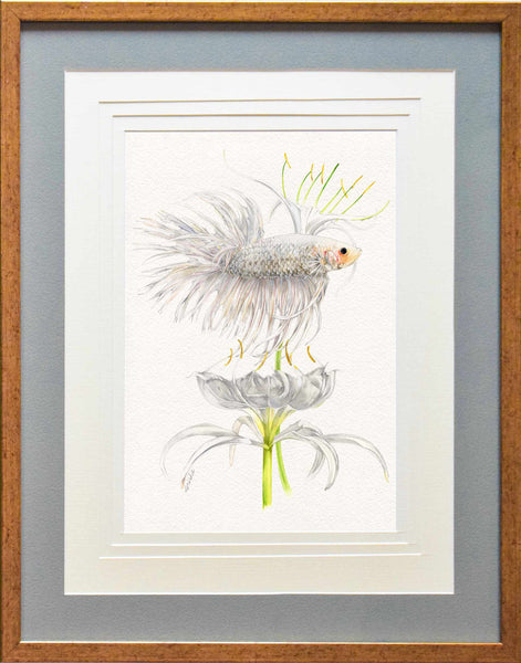 Crowntail Betta with Spider Lily In White – Artisera